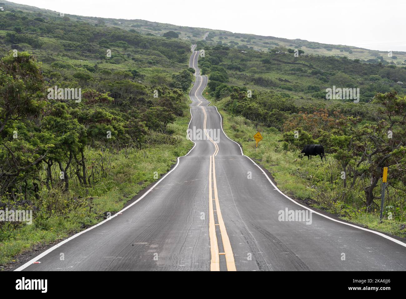 Maui remote road hi-res stock photography and images - Alamy