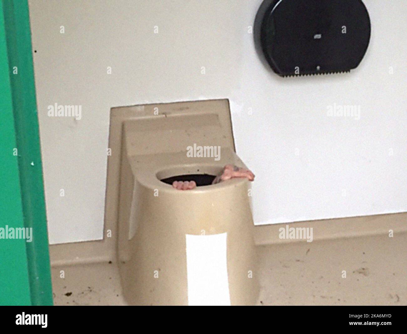 Fell into toilet hi-res stock photography and images - Alamy