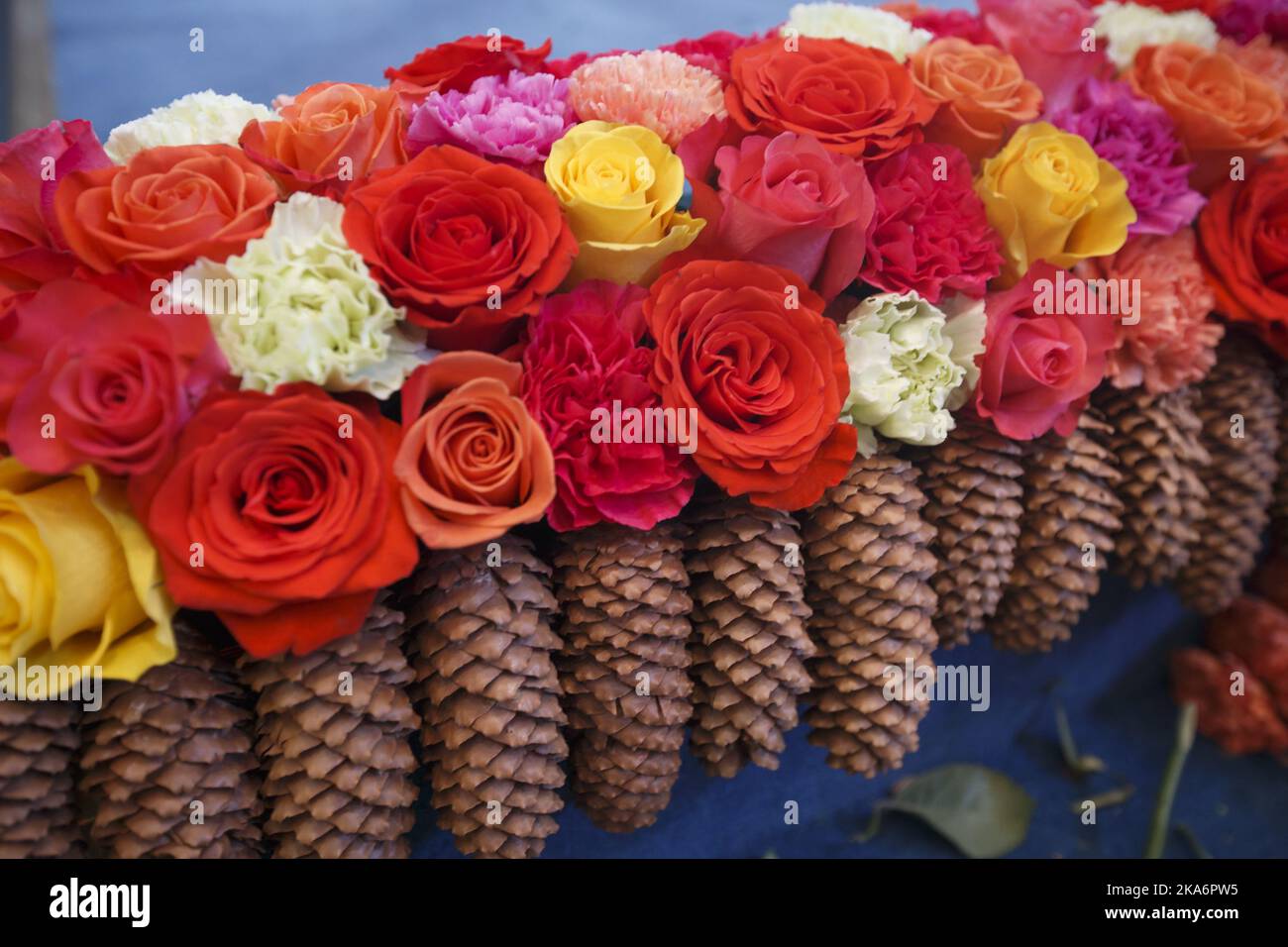Norway oslo colombia santos hi-res stock photography and images - Alamy