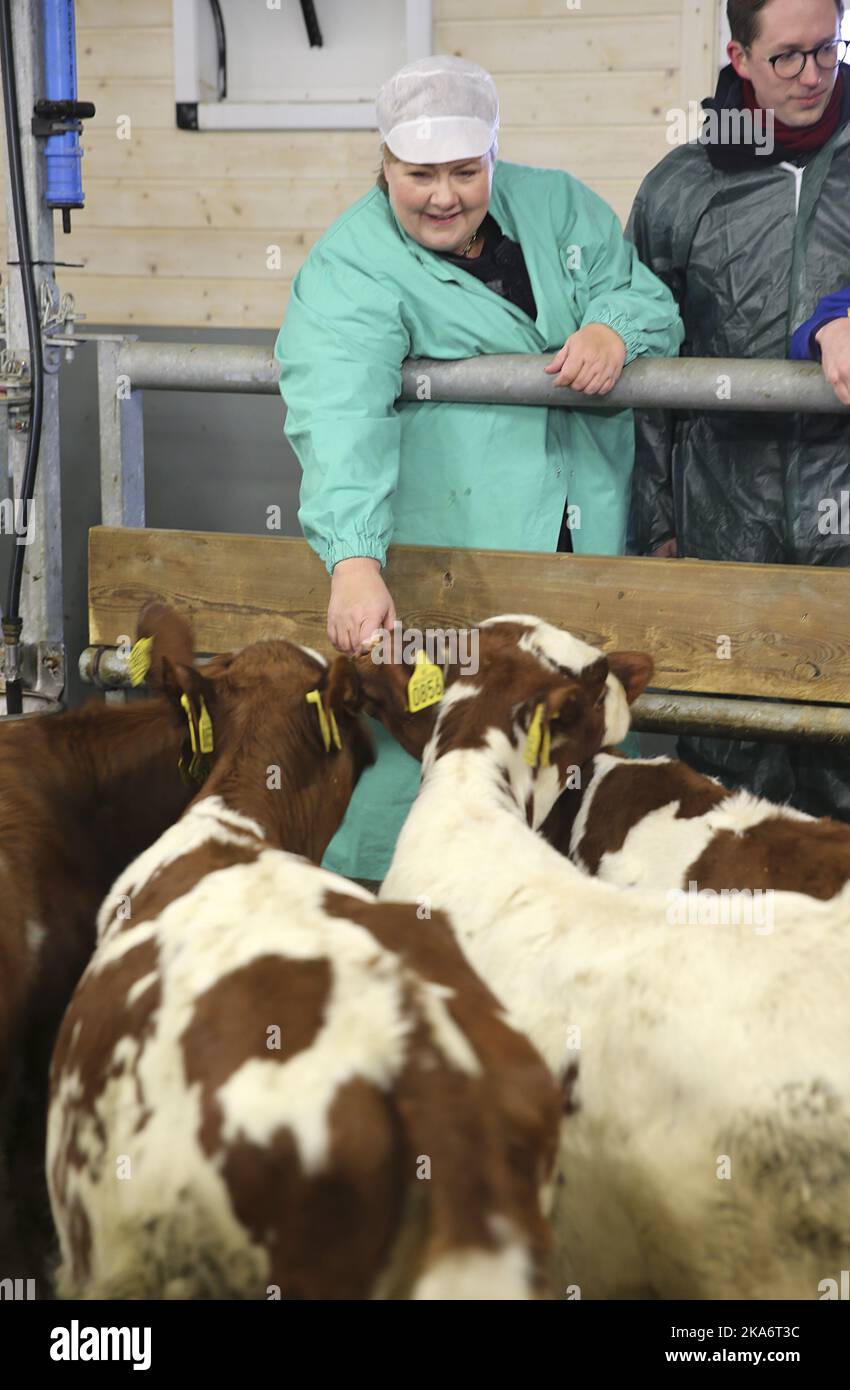 Vidar ruud ntb photo hi-res stock photography and images - Alamy