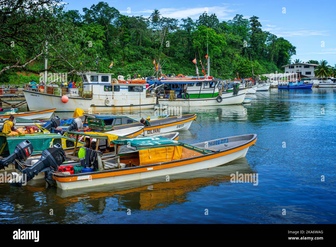 Boats anchored in marina Alotau, Milne Bay Papua New Guinea Stock Photo ...