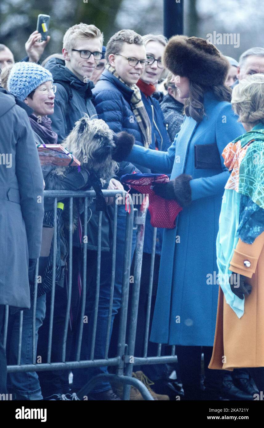Dog greets owner hi-res stock photography and images - Alamy