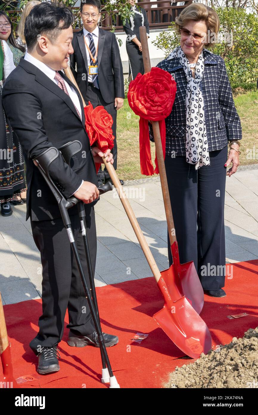 Sonja tree hi-res stock photography and images - Alamy