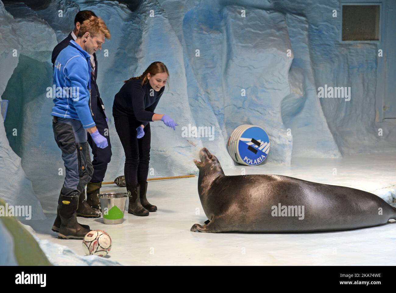 Tromsoe, Norway 20181117. Princess Ingrid Alexandra and Crown Prince ...