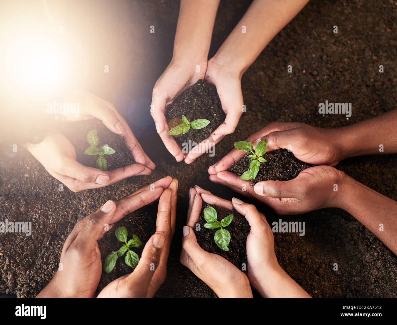 Invest in something thats constantly growing. a group of unrecognizable ...