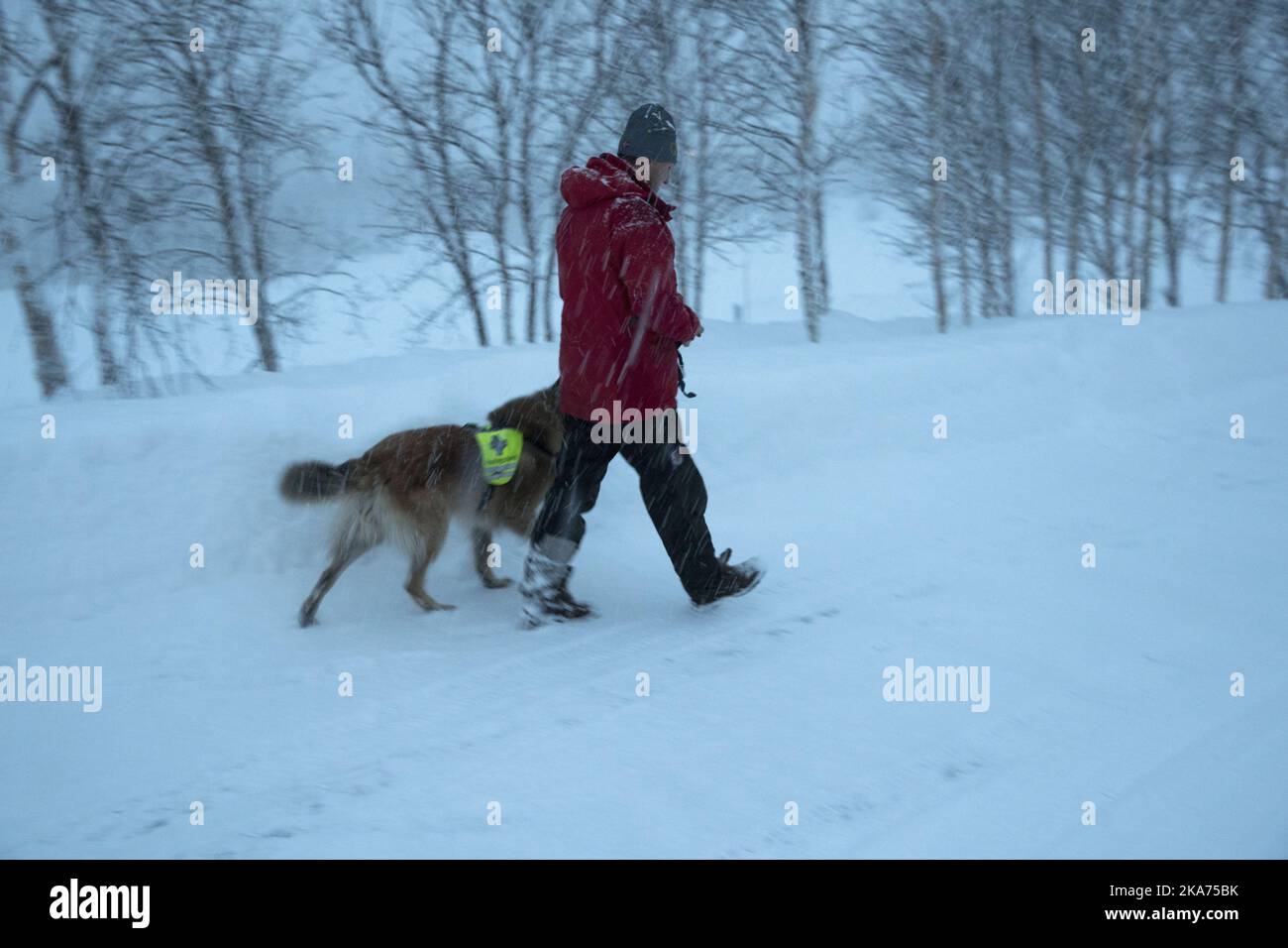 Kent Pedersen and rescue dog Nico have to wait for better weather ...