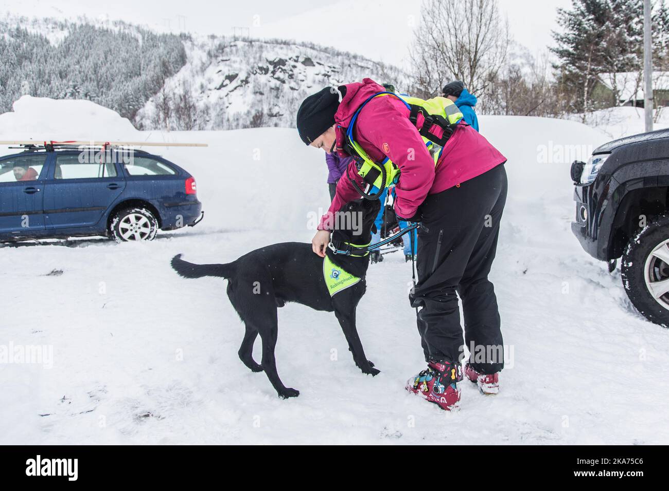 Karina Traethaug and dog Bono from Norwegian Rescue Dogs were among the ...
