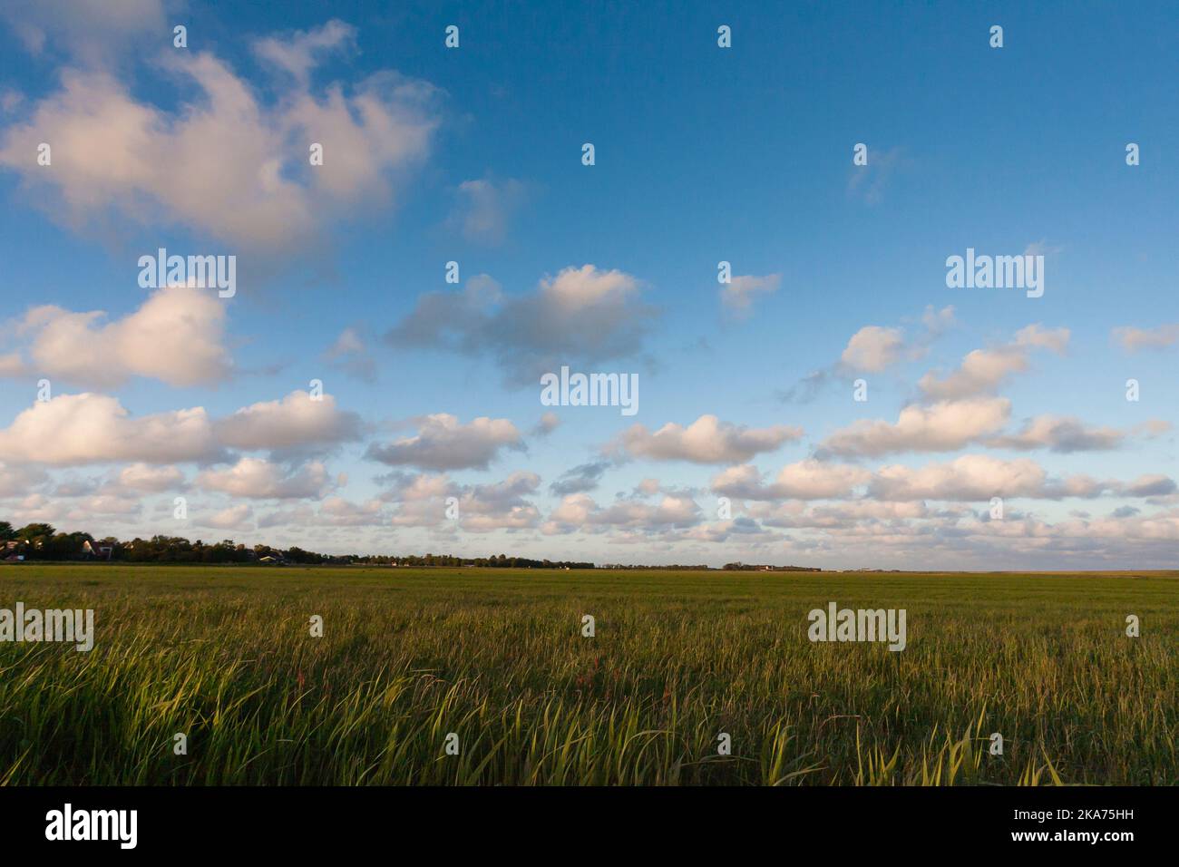 Extensive grassland hi-res stock photography and images - Alamy