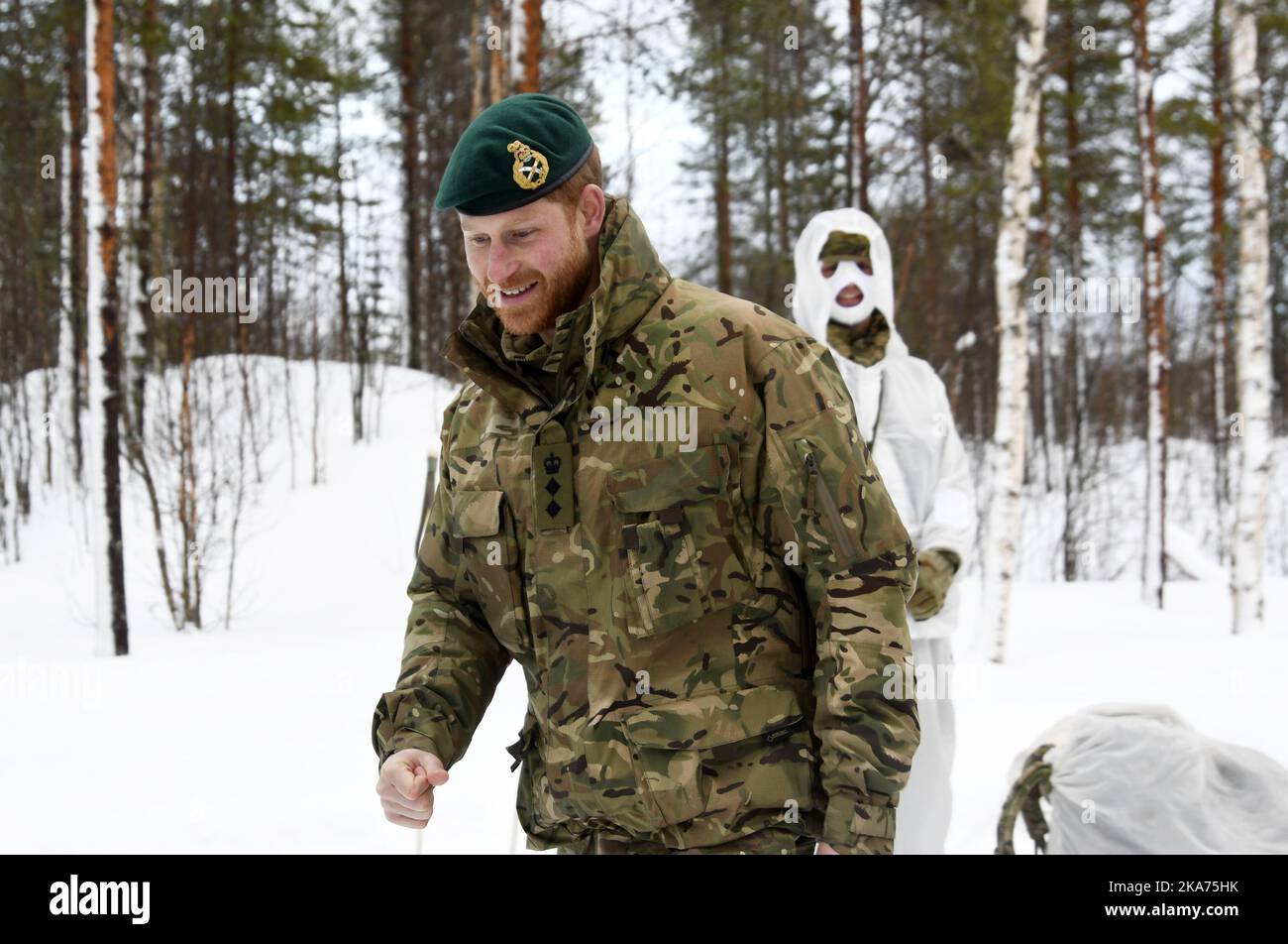 Royal marines in arctic hi-res stock photography and images - Alamy