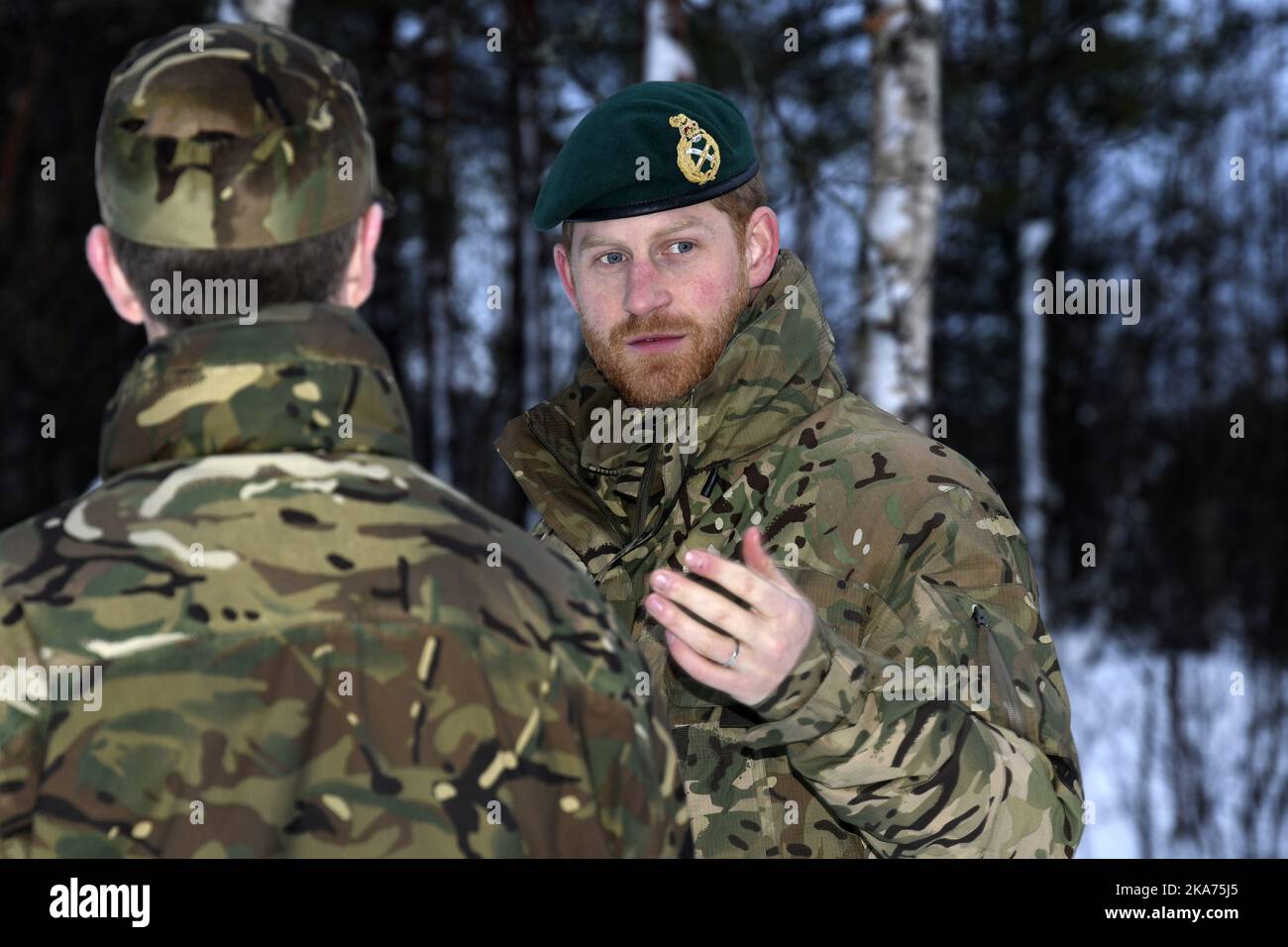 Bardufoss, Norway 20190214. HRH Prince Harry visits Bardufoss Air Force ...