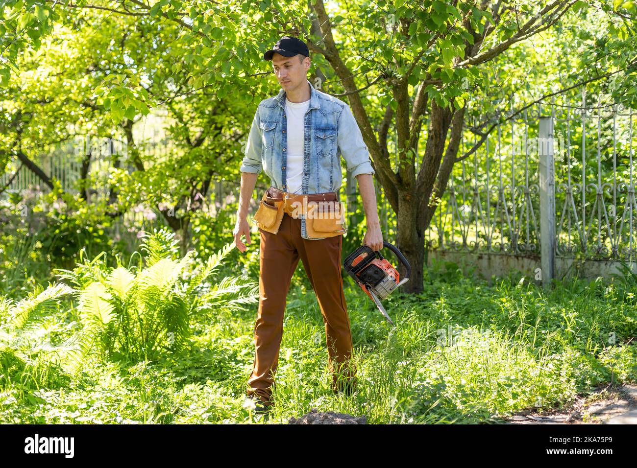Man cutting a branch with chainsaw Stock Photo - Alamy