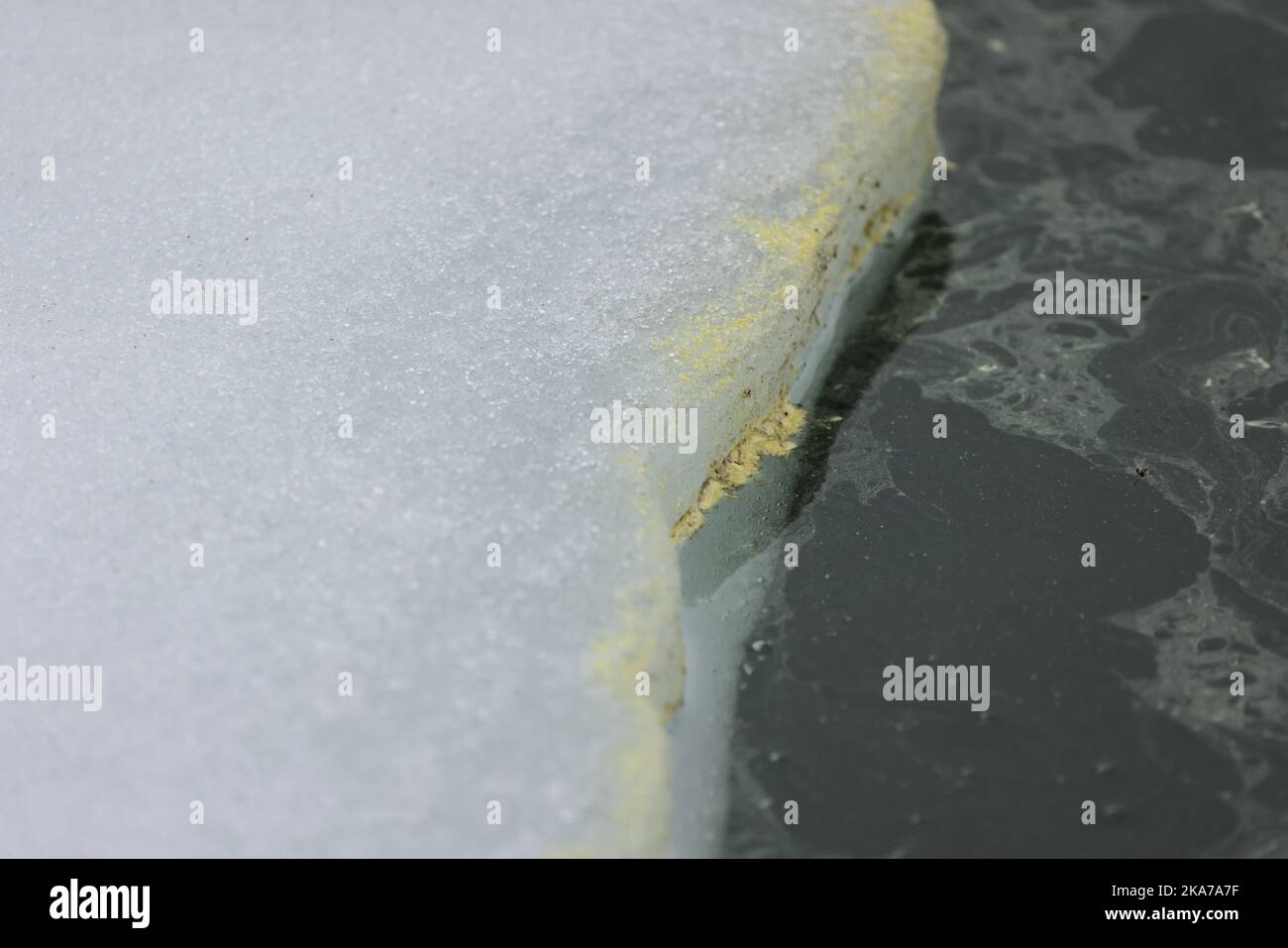 Røldal 20210605. Large amounts of pollen float around on "Kjelavatn ...