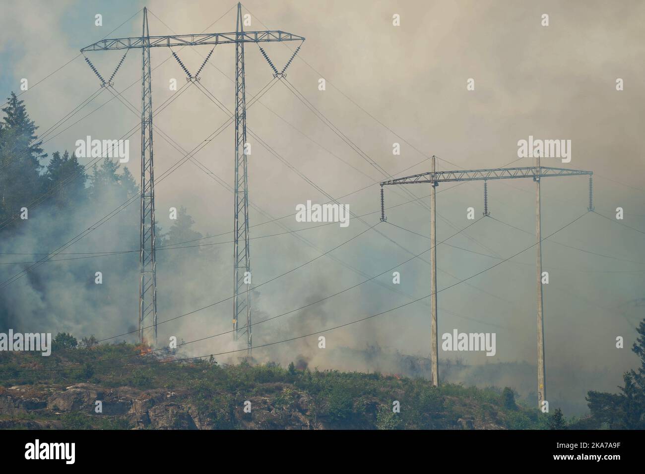 Oslo 20210612. Forest fire at RomsÃ¥s in Oslo. Photo: Torstein BÃ¸e ...