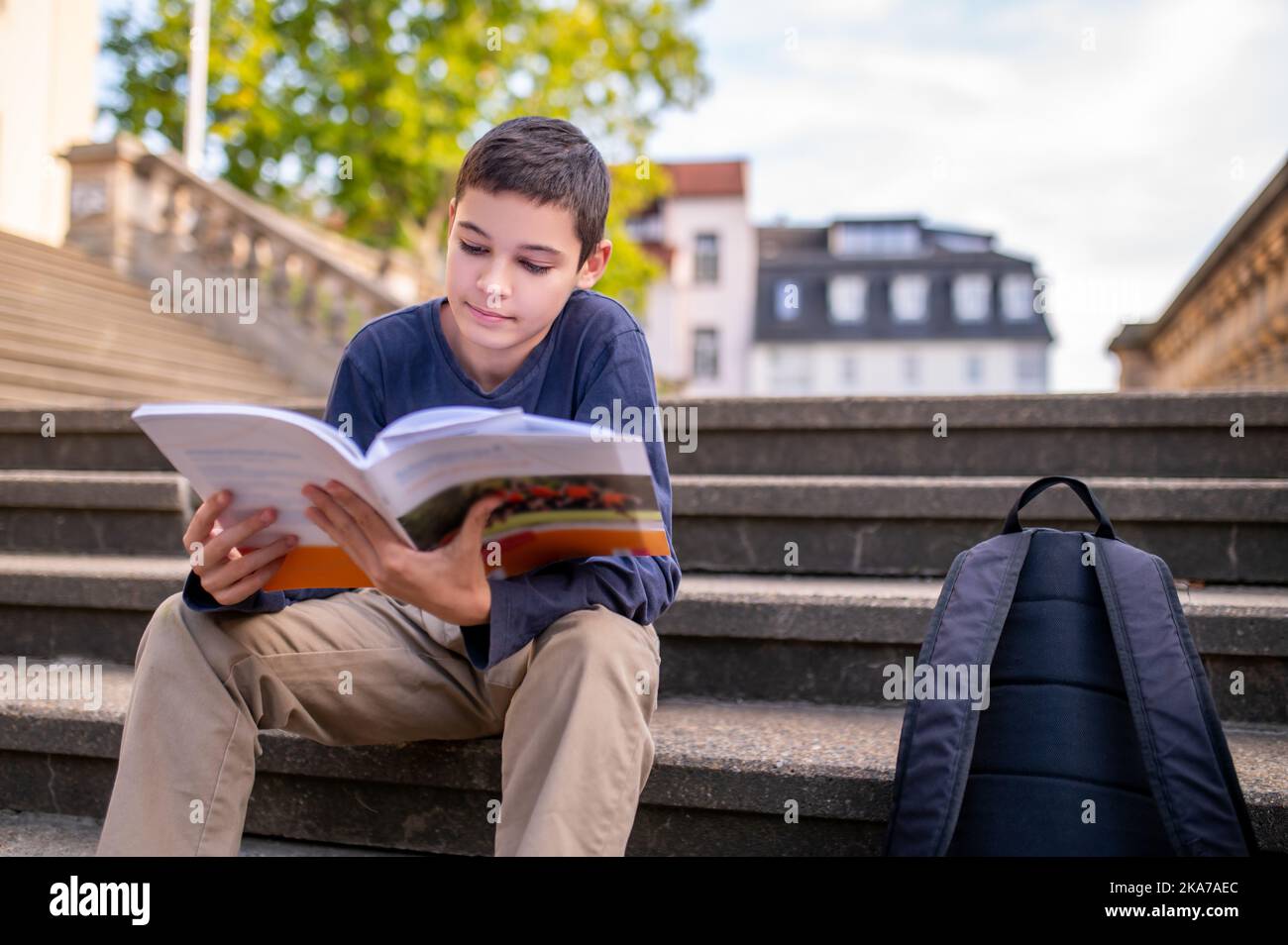 Teenage boy concentrated on reading a textbook Stock Photo - Alamy