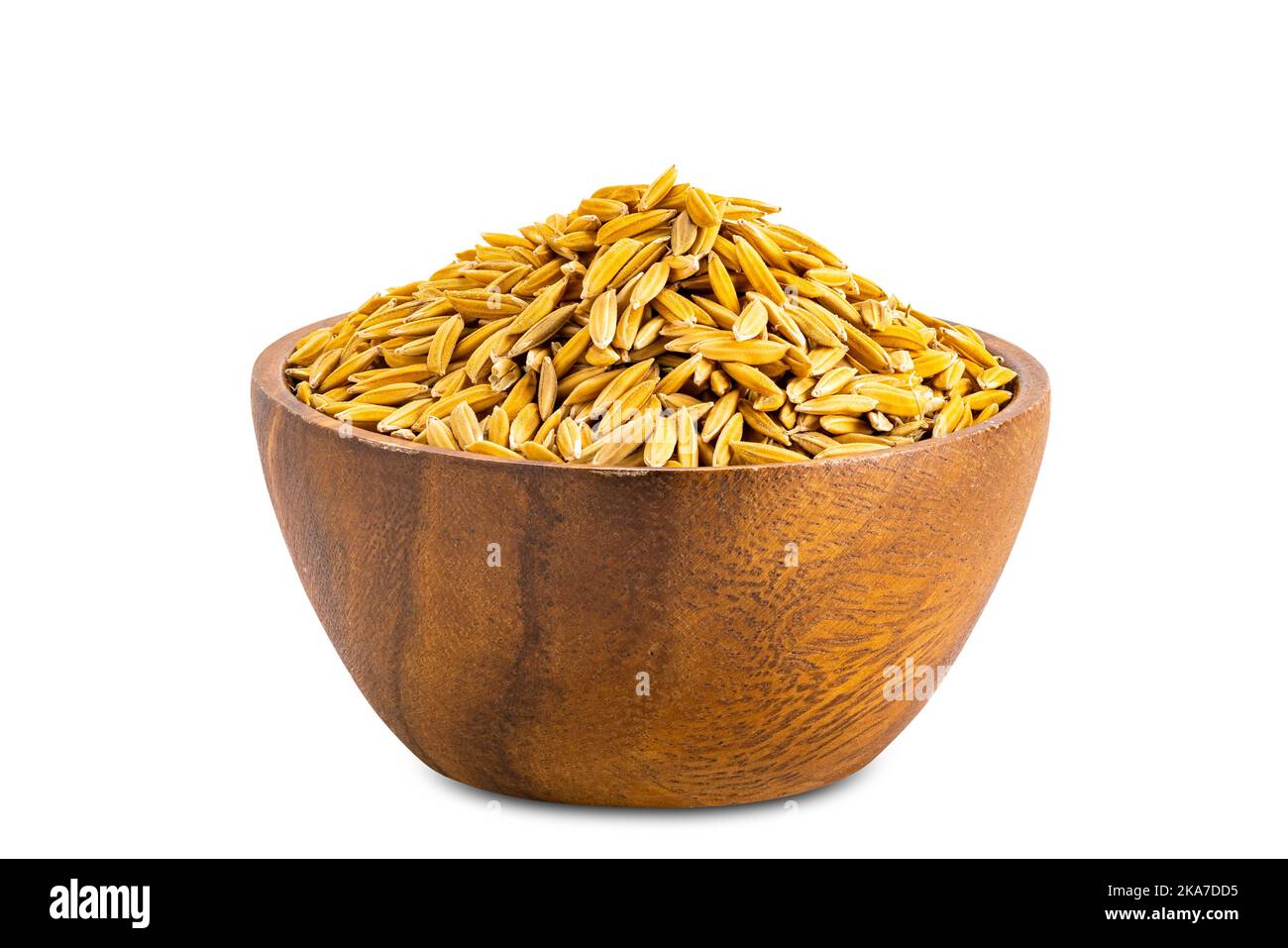 Side view closeup pile of dry freshly harvested paddy in wooden bowl ...