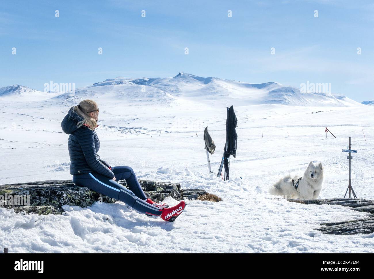 Storlien, Sweden 20220417. Woman skiing in sunny weather at ...