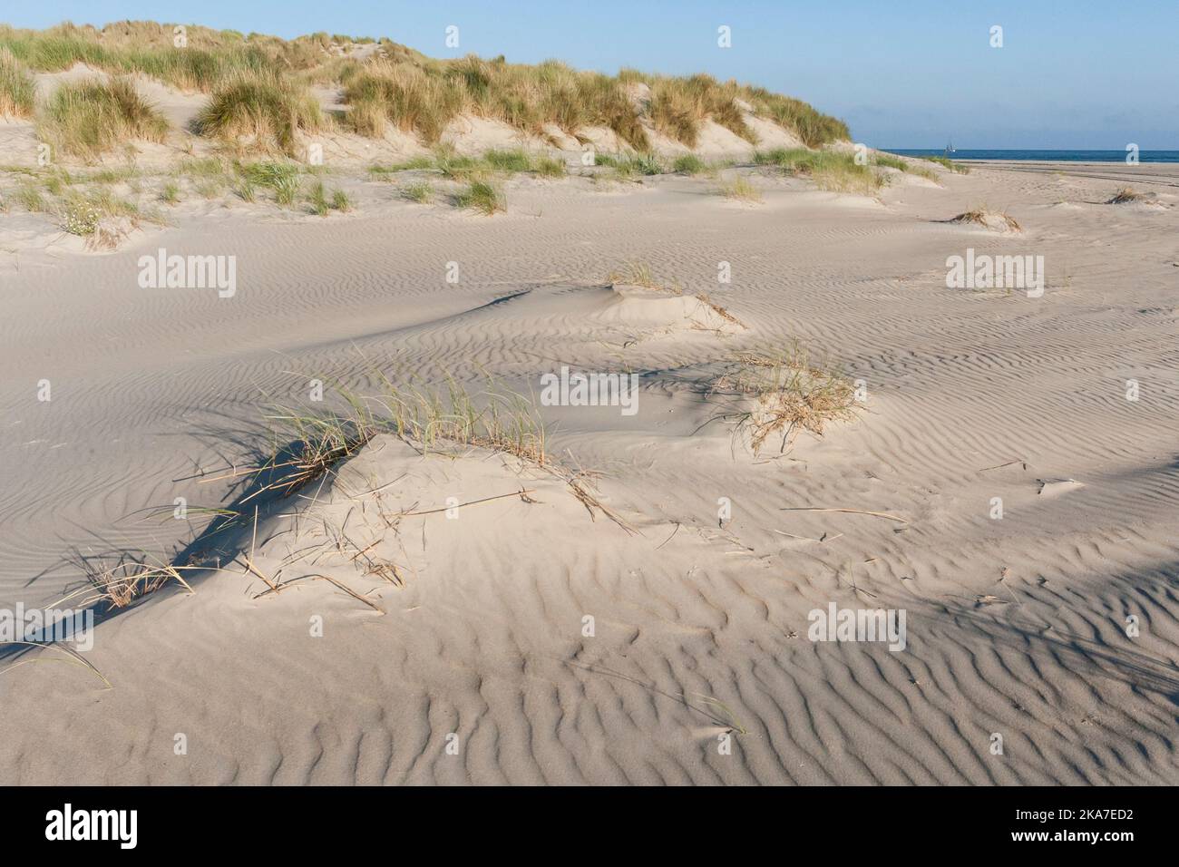 Zandstructuren op het strand, Sand structures at the beach Stock Photo ...