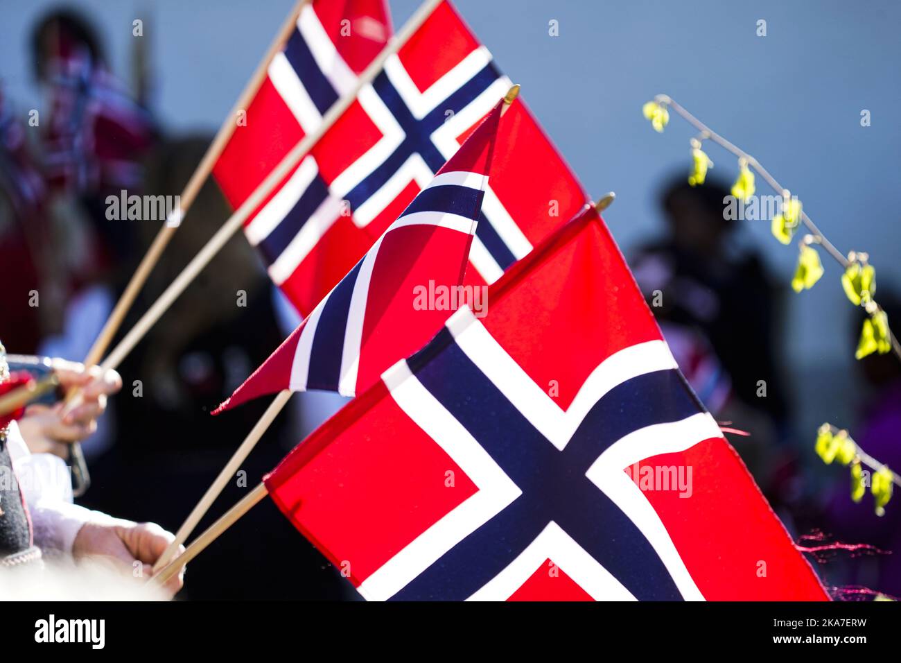 Asker 20220517. Flags in the sun during the National Day celebrations ...