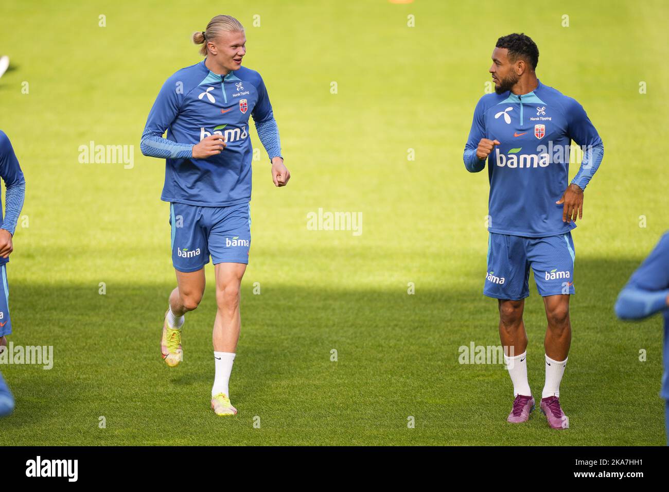 Joshua king erling haaland hi-res stock photography and images - Alamy