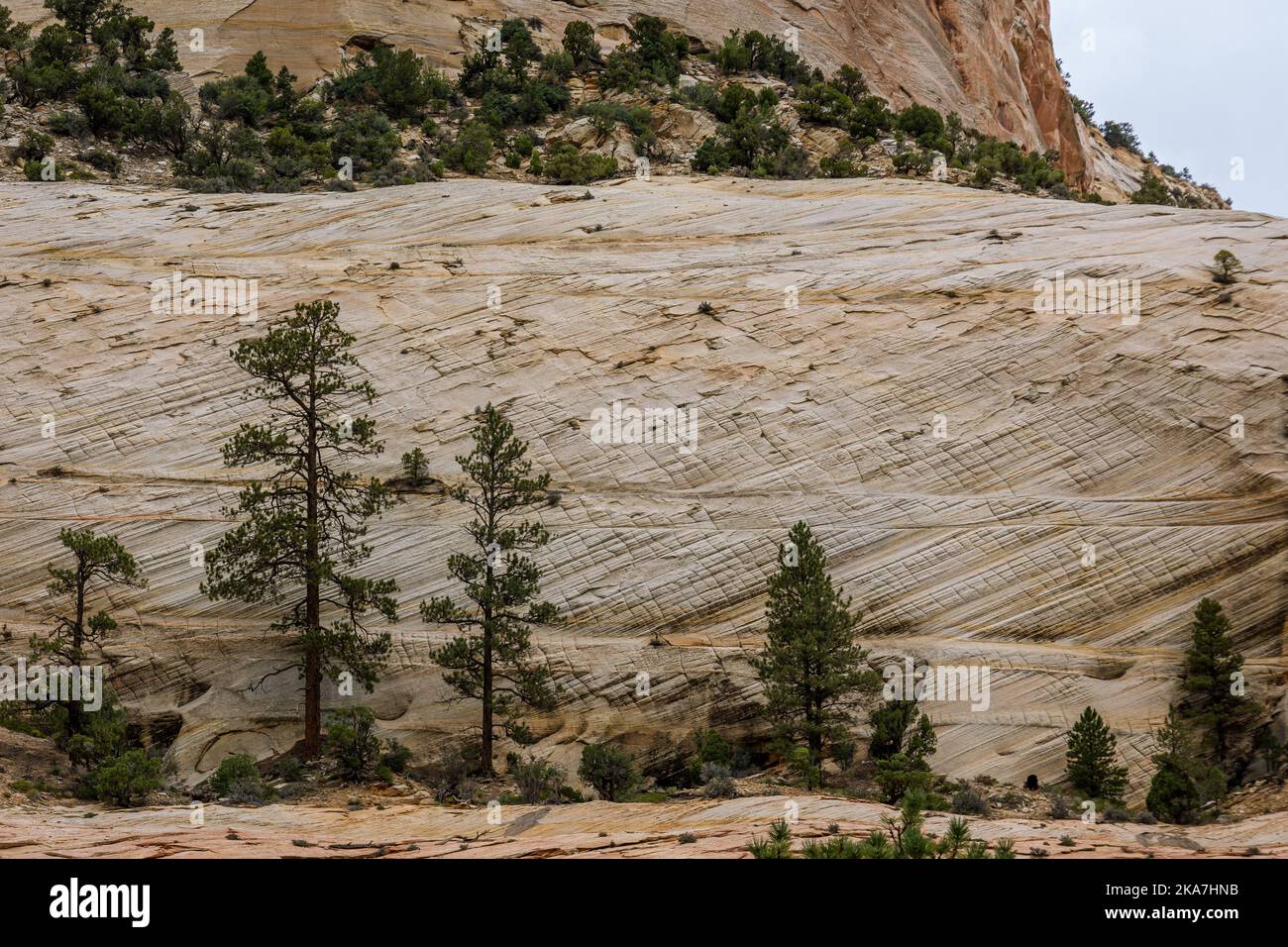 Zion national park, with beautiful yellow, orange and red colored rocks ...