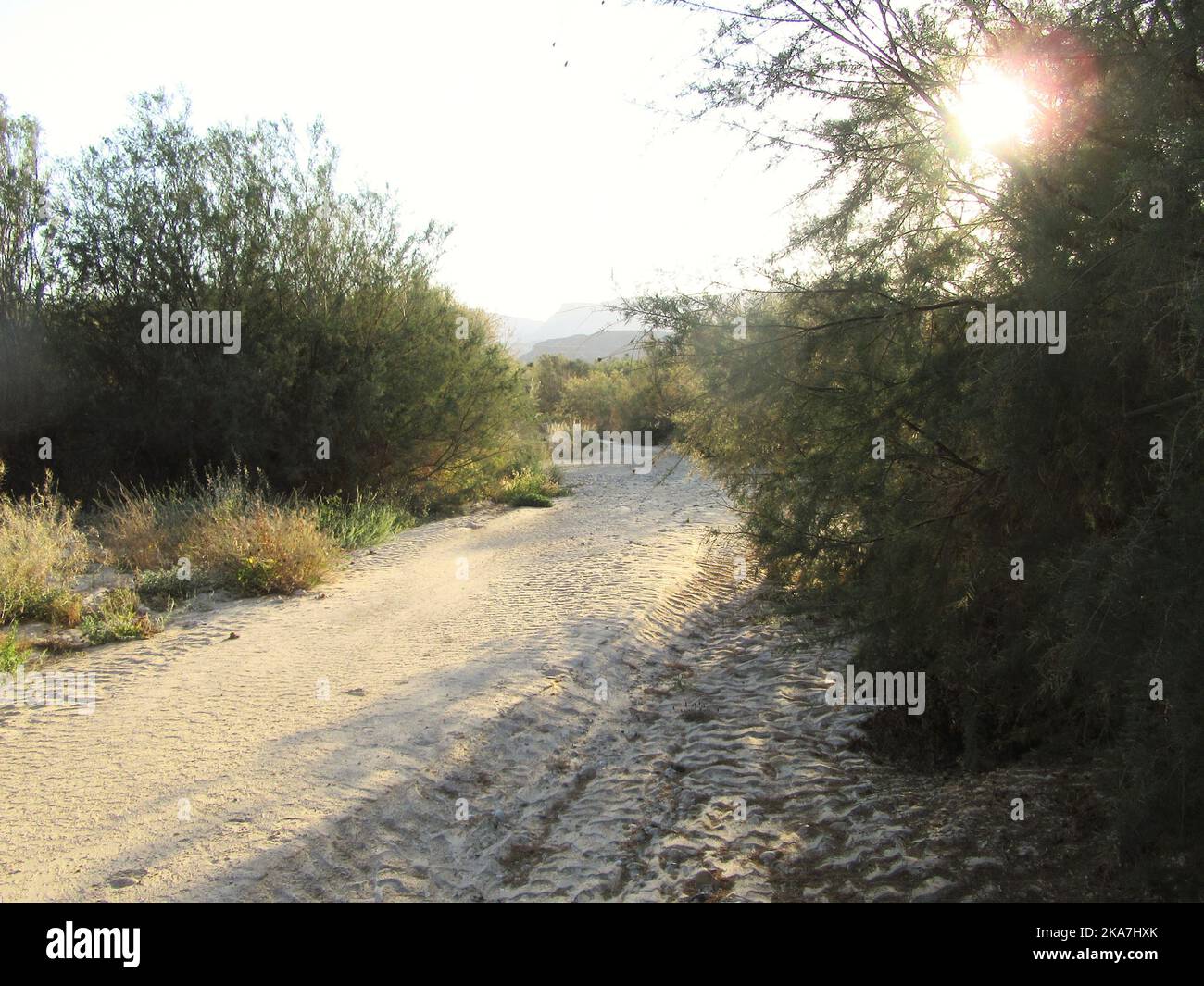Dry wadi near the Dead Sea in Israel. Dried our river bed covered with ...