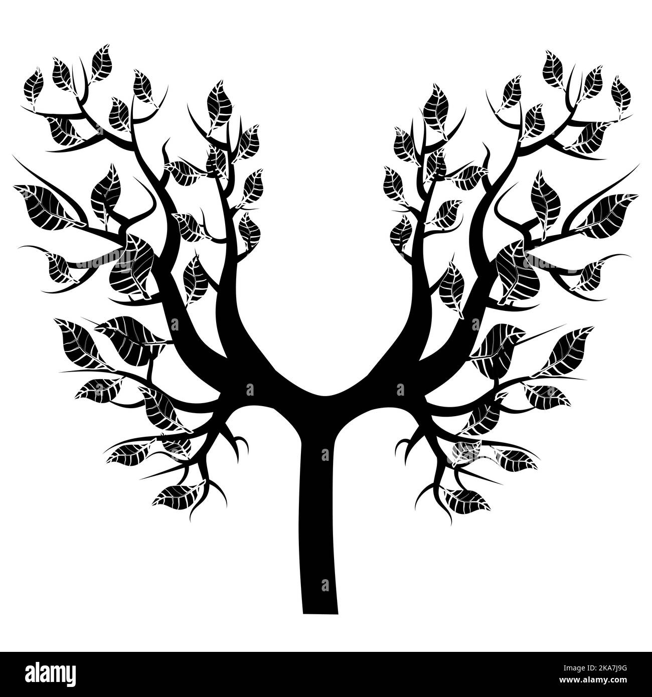 Black silhouette of young symmetrical tree with leaves isolated on ...