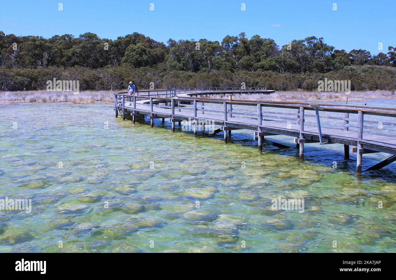 Lake Clifton, Western Australia, Adult 60s, Taking in the sites ...