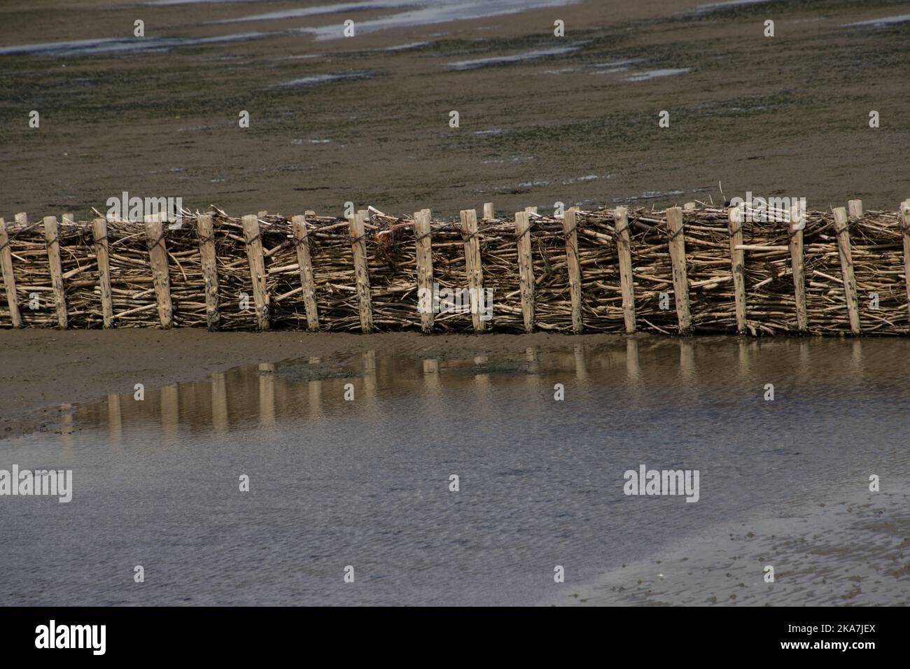 Wood barrier for land reclamation in the wadden sea, north sea Germany ...