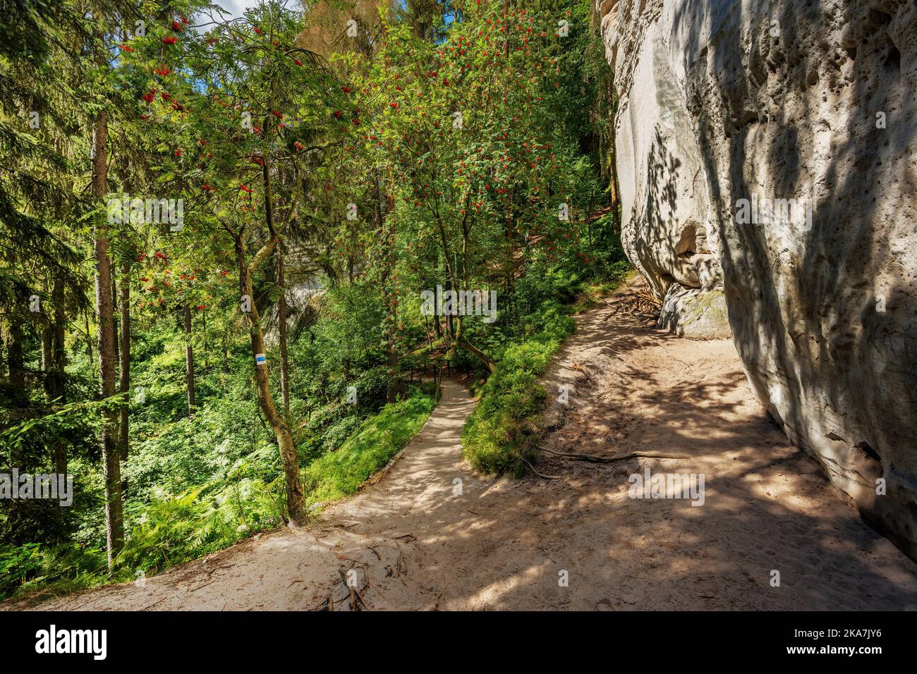 Hruba Skala Dragon Rocks, Rock City, UNESCO geopark, in the Bohemian ...