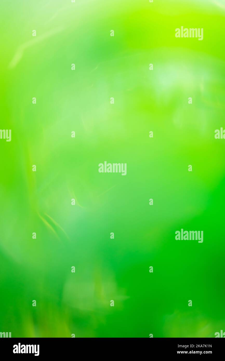 Blurry mango color bokeh backdrop. Green haze bokeh backdrop Stock ...