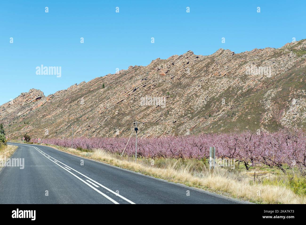 Koué bokkeveld hi-res stock photography and images - Alamy