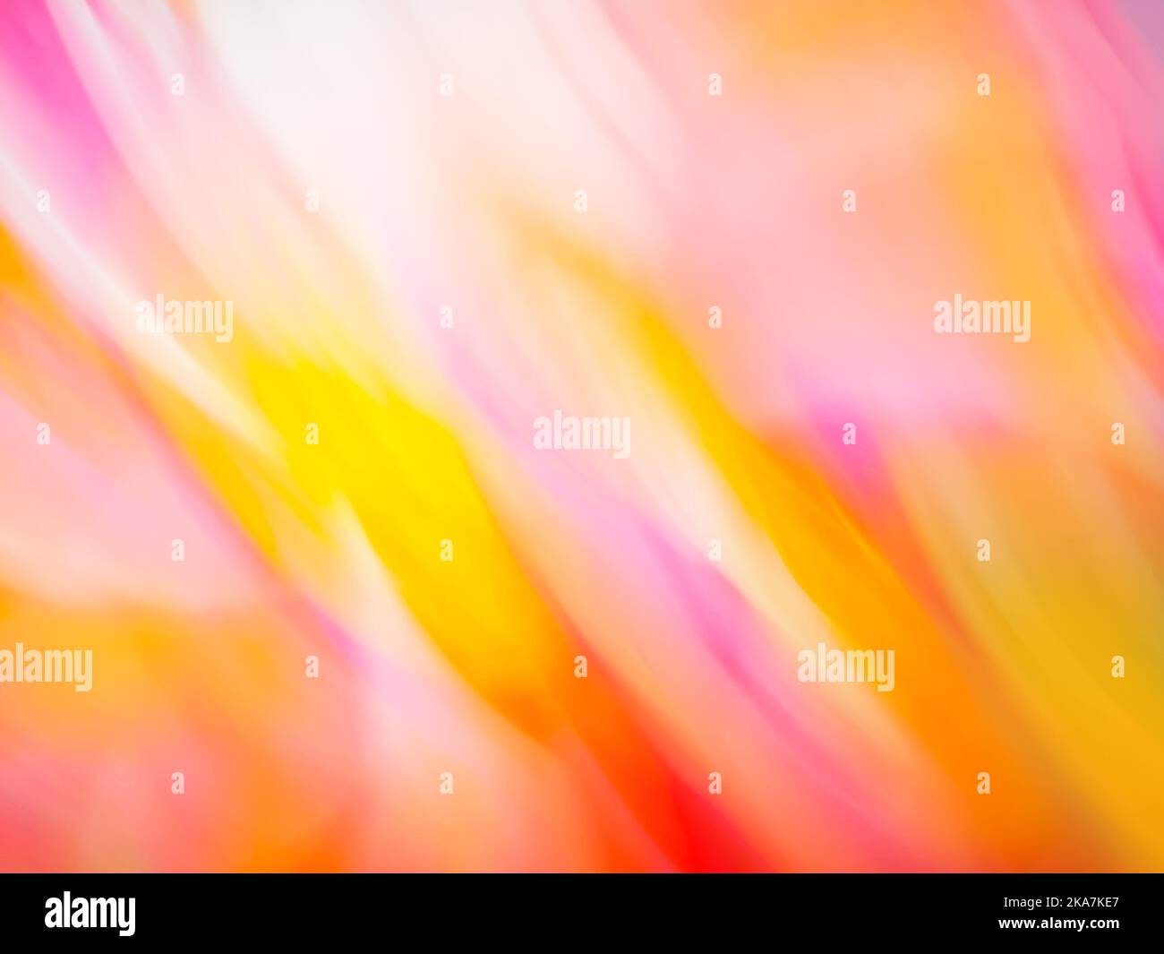 Orange fall natural trees bokeh. Bright yellow and red trees fall bokeh background Stock Photo ...