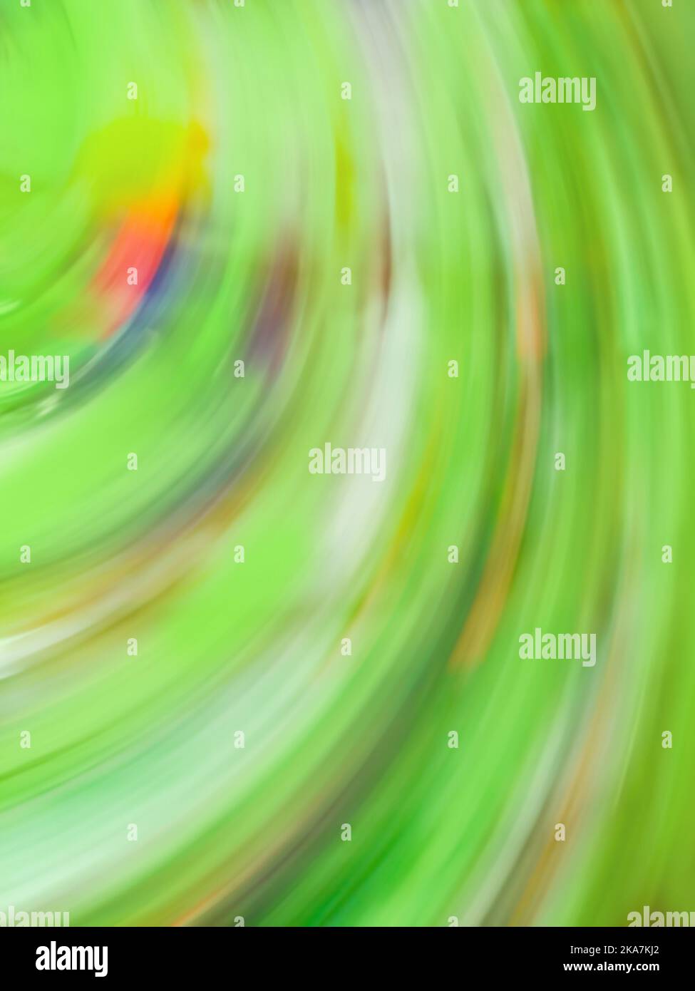 Abstract green light trail vortex. Lights moving in circular green ...