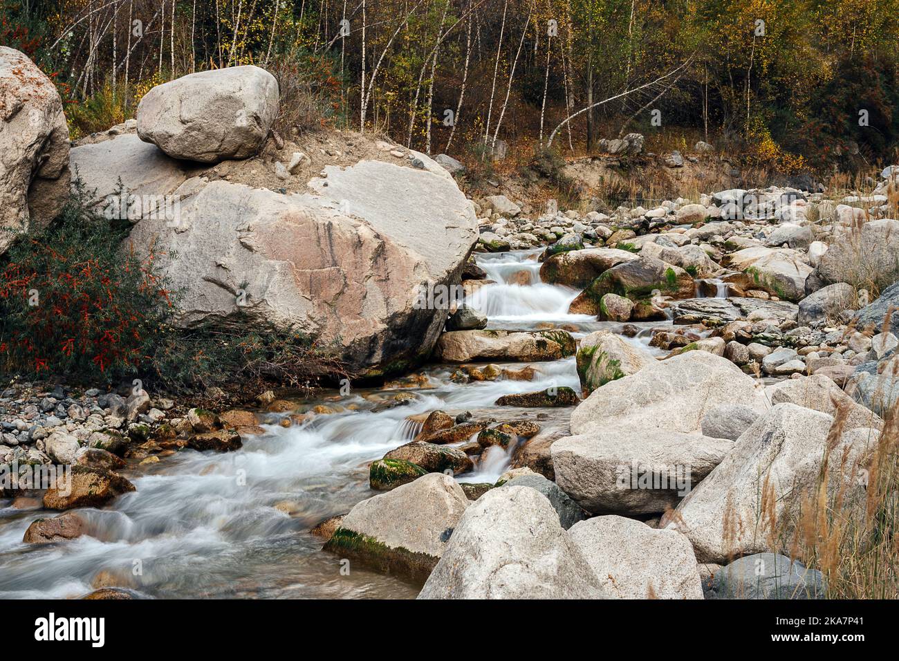 Mountain running water stream with stony banks and some forrest in ...