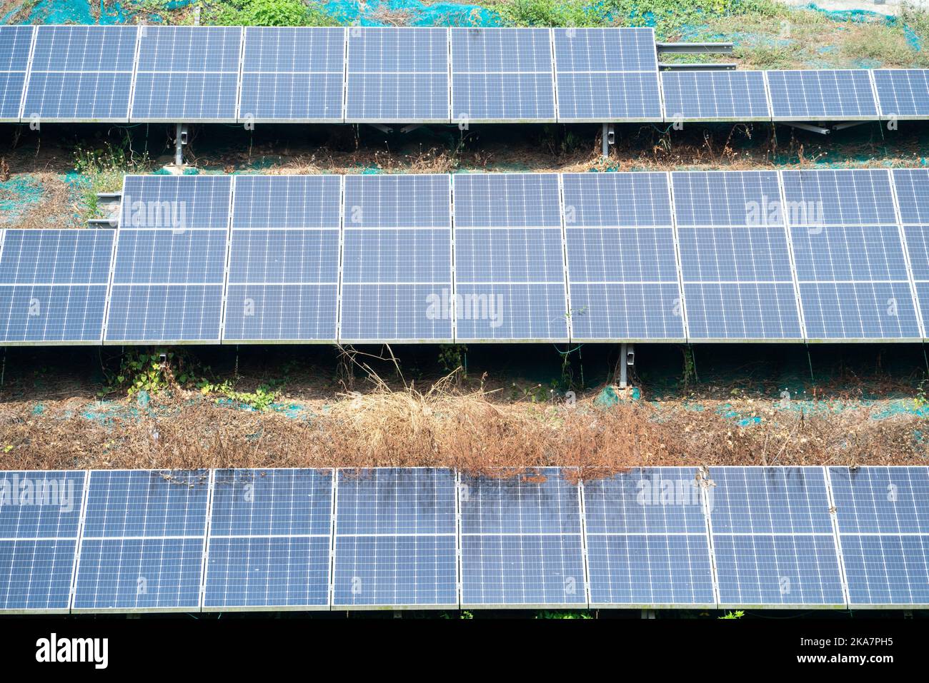 Solar panels, solar system technology solar cell in Taiwan Stock Photo ...