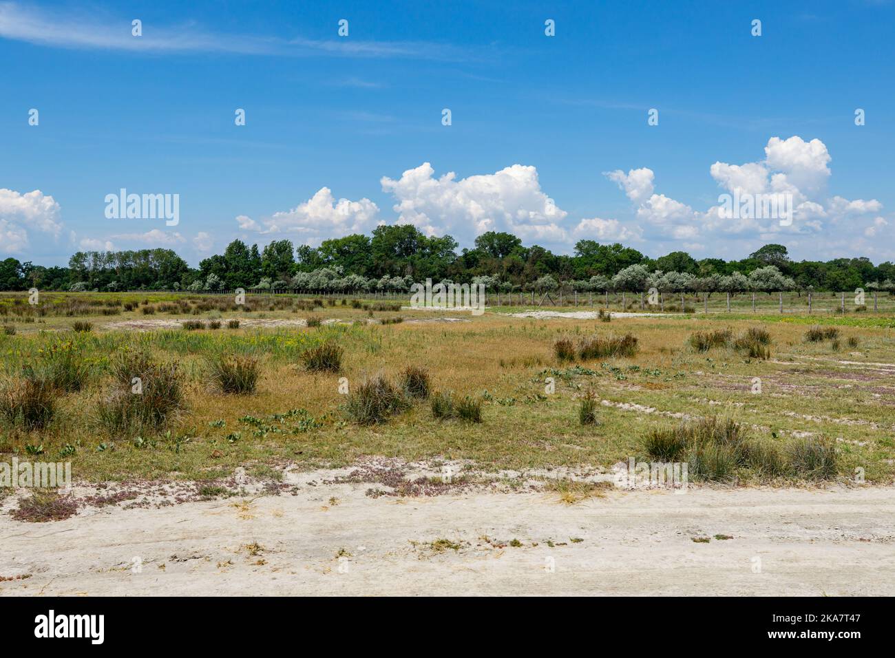 Delta dunarii national park hi-res stock photography and images - Alamy