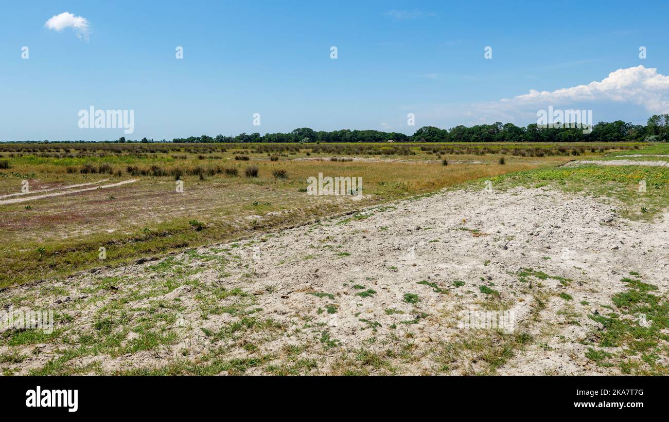 Delta dunarii national park hi-res stock photography and images - Alamy