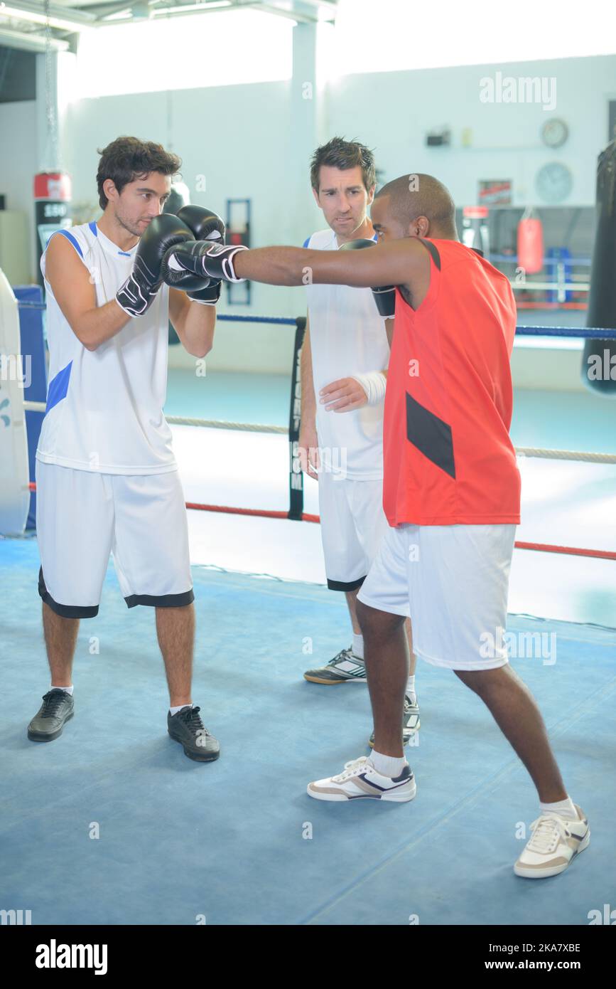 portrait of people during boxing practice at the gym Stock Photo - Alamy