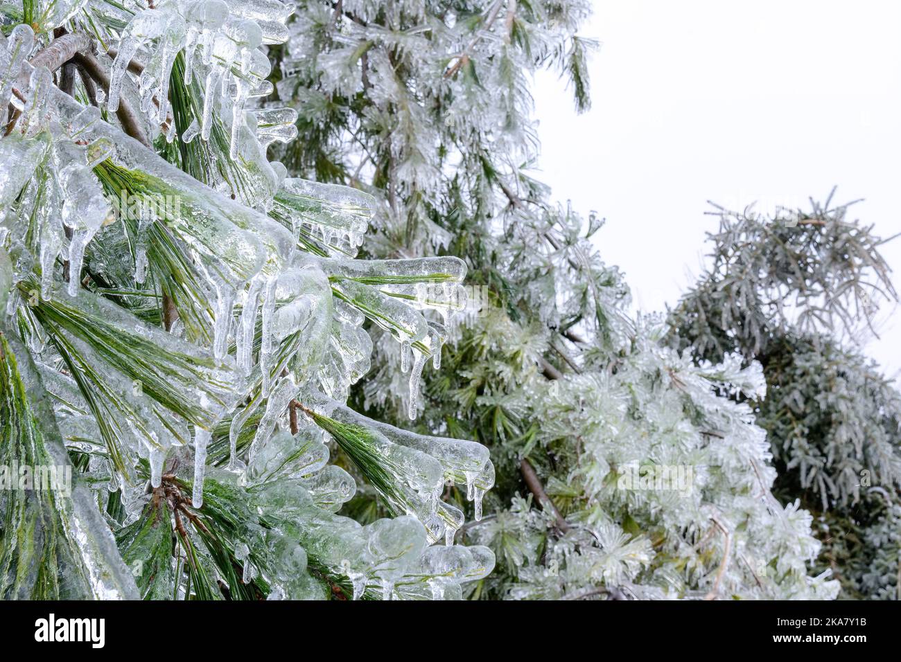 Toronto, Canada, freezing rain covering diverse surfaces in outdoor ...