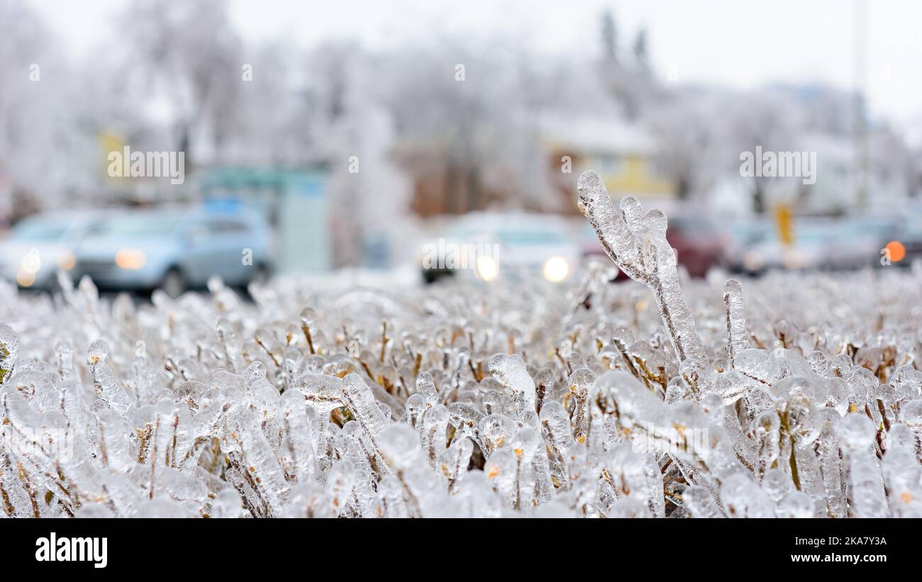 Toronto, Canada, freezing rain covering diverse surfaces in outdoor ...
