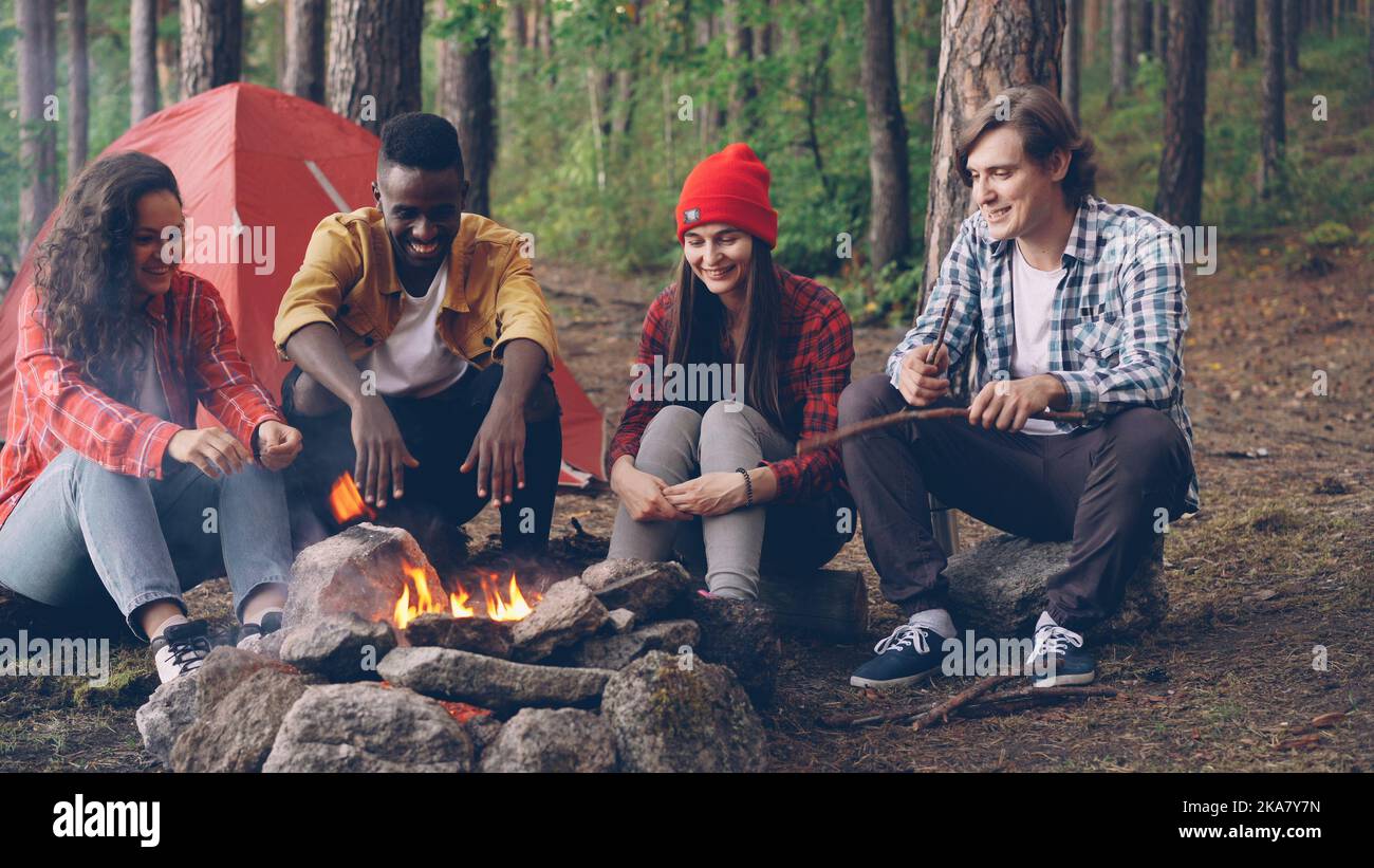 Multiethnic group of friends tourists are sitting around fire talking ...