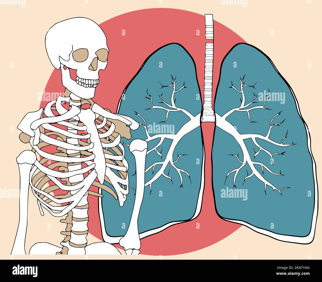 illustration of the Lungs. Modern illustration for the medicine, health ...