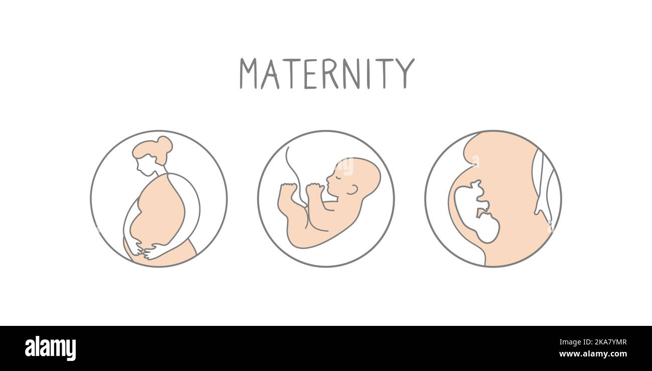 Maternity icon set. Fertilization and childbirth linear simple ...