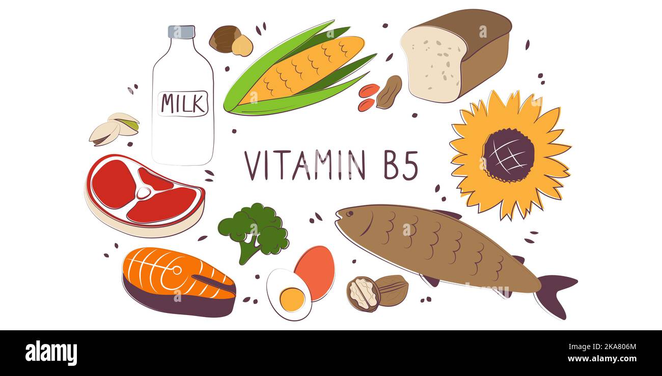 Vitamin B5 Pantothenic acid. Groups of healthy products containing ...