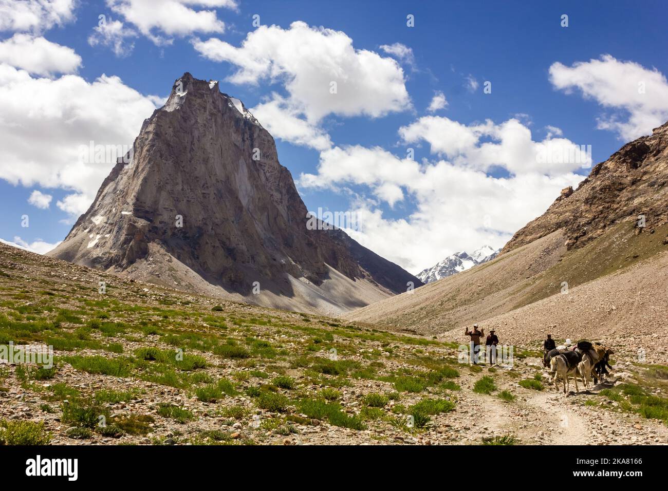 Zanskar, India - July 2012: Trekkers walking with horses on a trail in ...