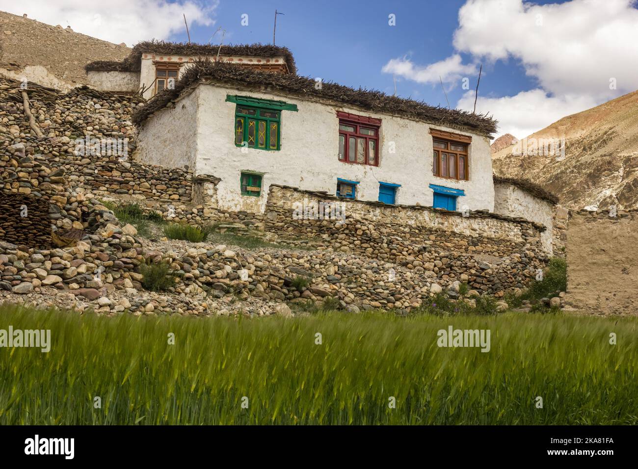 Zanskar, India - July 2012: Traditional stone houses in the village of ...