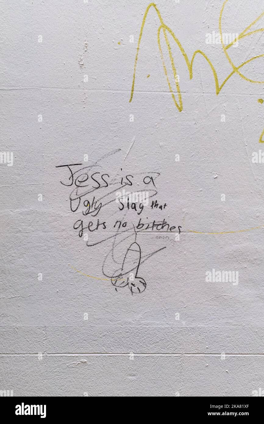 Insulting; graffiti scrawled over a wall in Roberts Ope an old alleyway ...