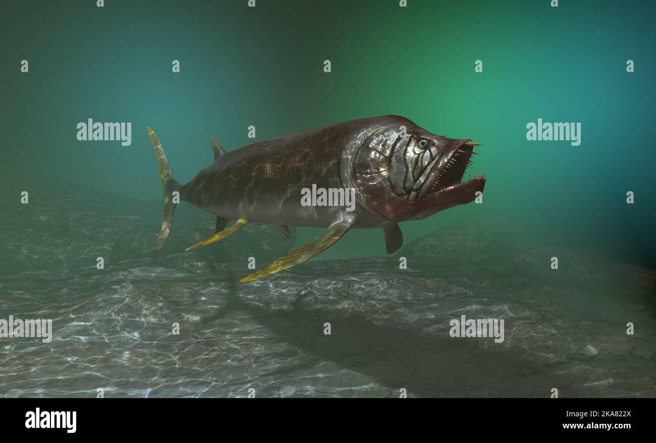 Xiphactinus Xiphactinus Audax Leidy