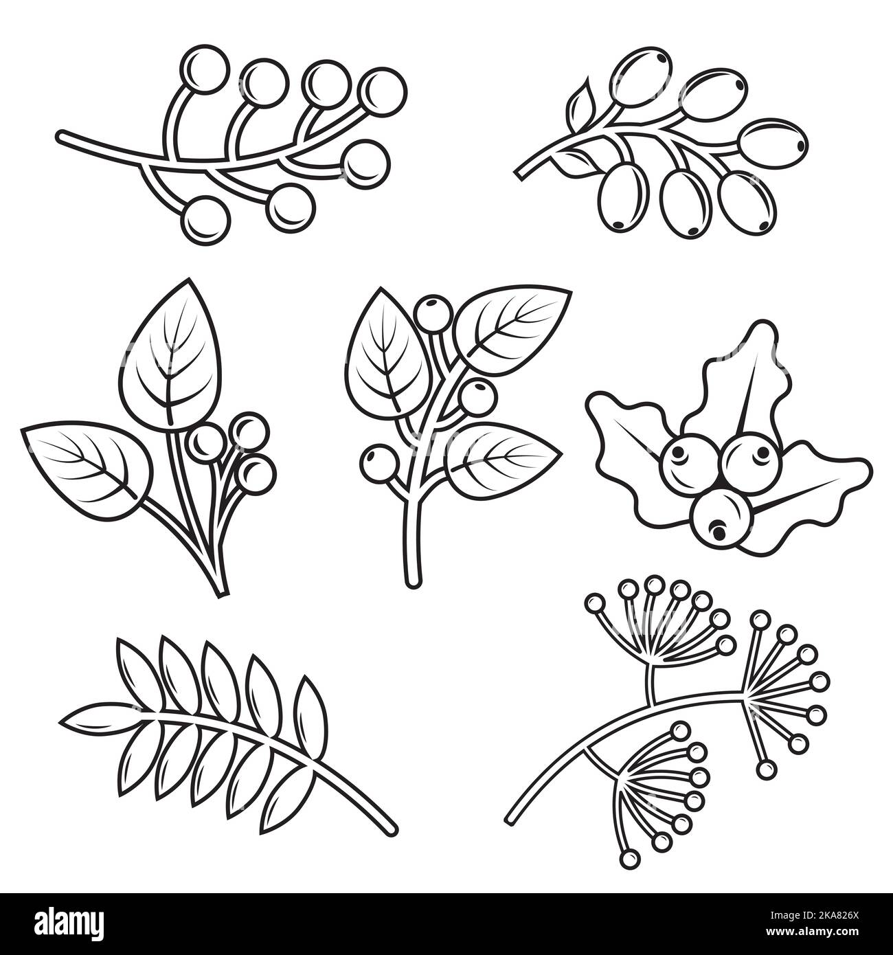Autumn plants doodle elements. Contour elements of the plant in autumn ...