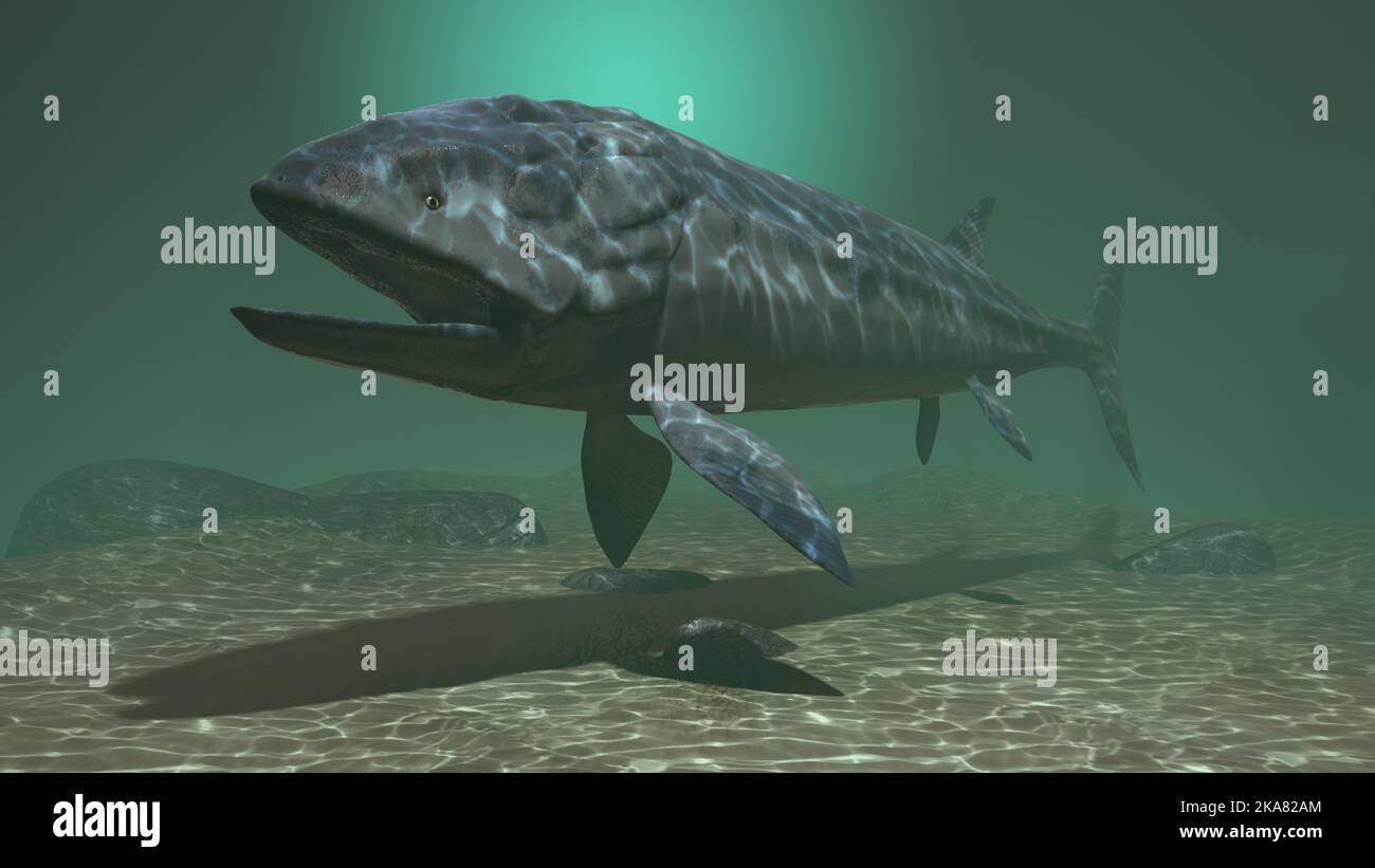 Jurassic fauna hi-res stock photography and images - Alamy